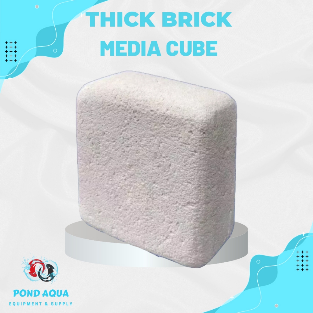 Jual Bio Filter Thick Cube 20x20x10cm Bacteria House God Brick Filter ...
