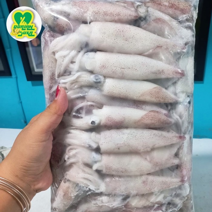 Jual Cumi Super Fresh Frozen 1Kg | Shopee Indonesia