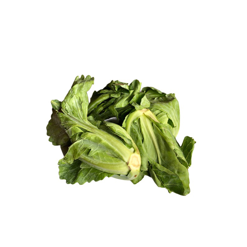 Jual Tunas kol (siwil) | Shopee Indonesia