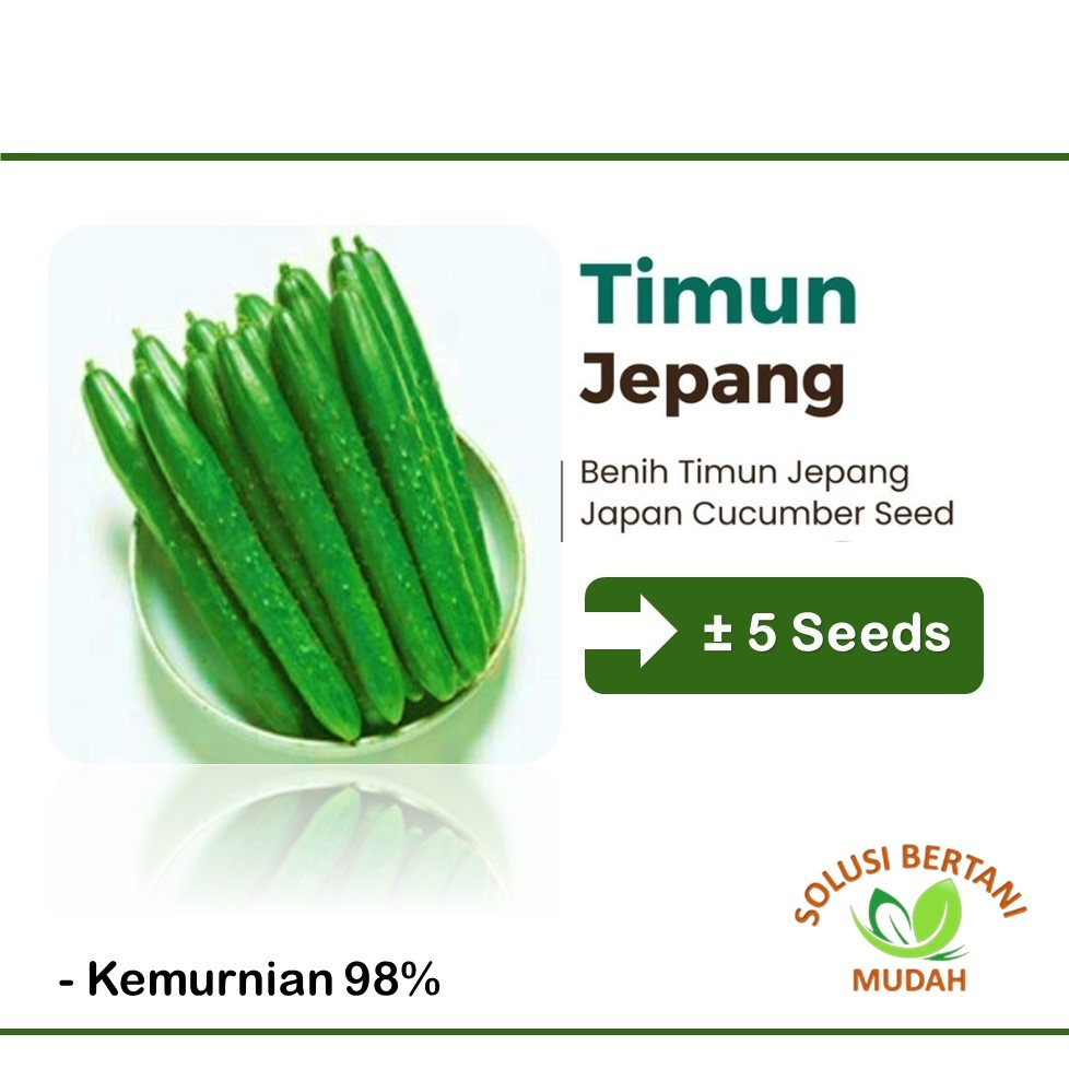 Jual Bibit Benih Sayuran Timun Jepang Hibrida Unggul | Shopee Indonesia