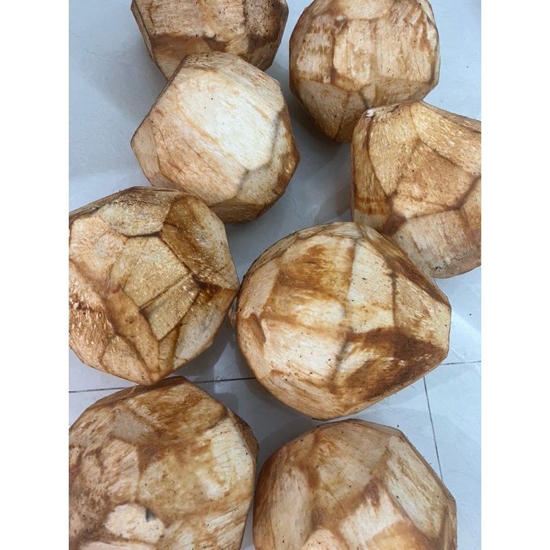 Jual kelapa Muda kupas segar / butir | Shopee Indonesia