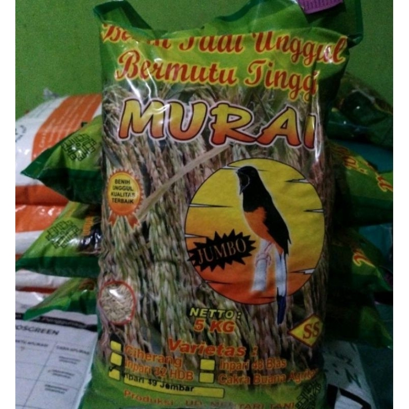 Jual Benih padi Inpari 32 HDB Cap Murai 5 kg. Benih padi label ungu ...