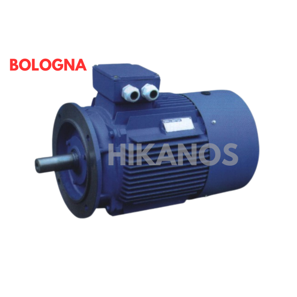 Jual Elektro Motor 1 HP 4P 1 phase Electro Motor Dynamo Dinamo Bologna 1400 RPM Flange Mounted ...