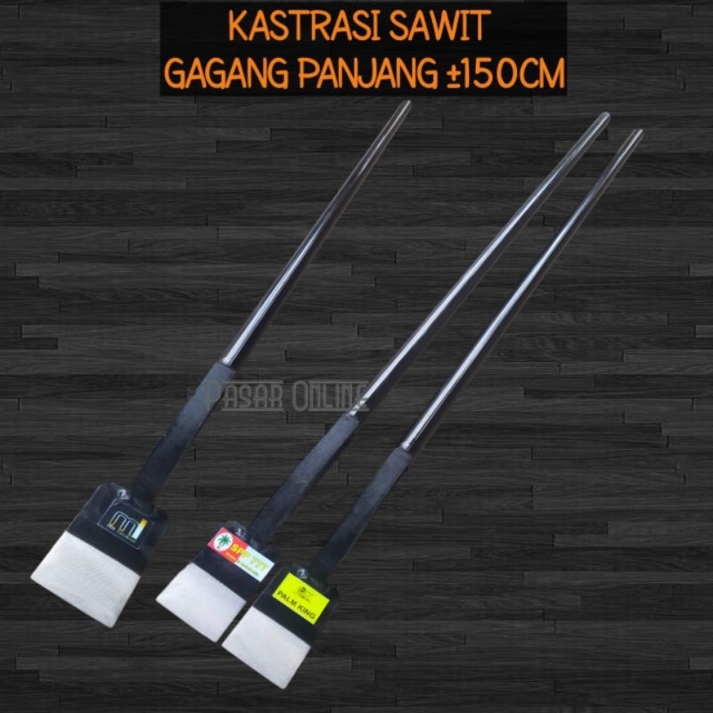 Jual KASTRASI SAWIT//KASTRASI GAGANG PANJANG//DODOS KASTRASI 115cm ...