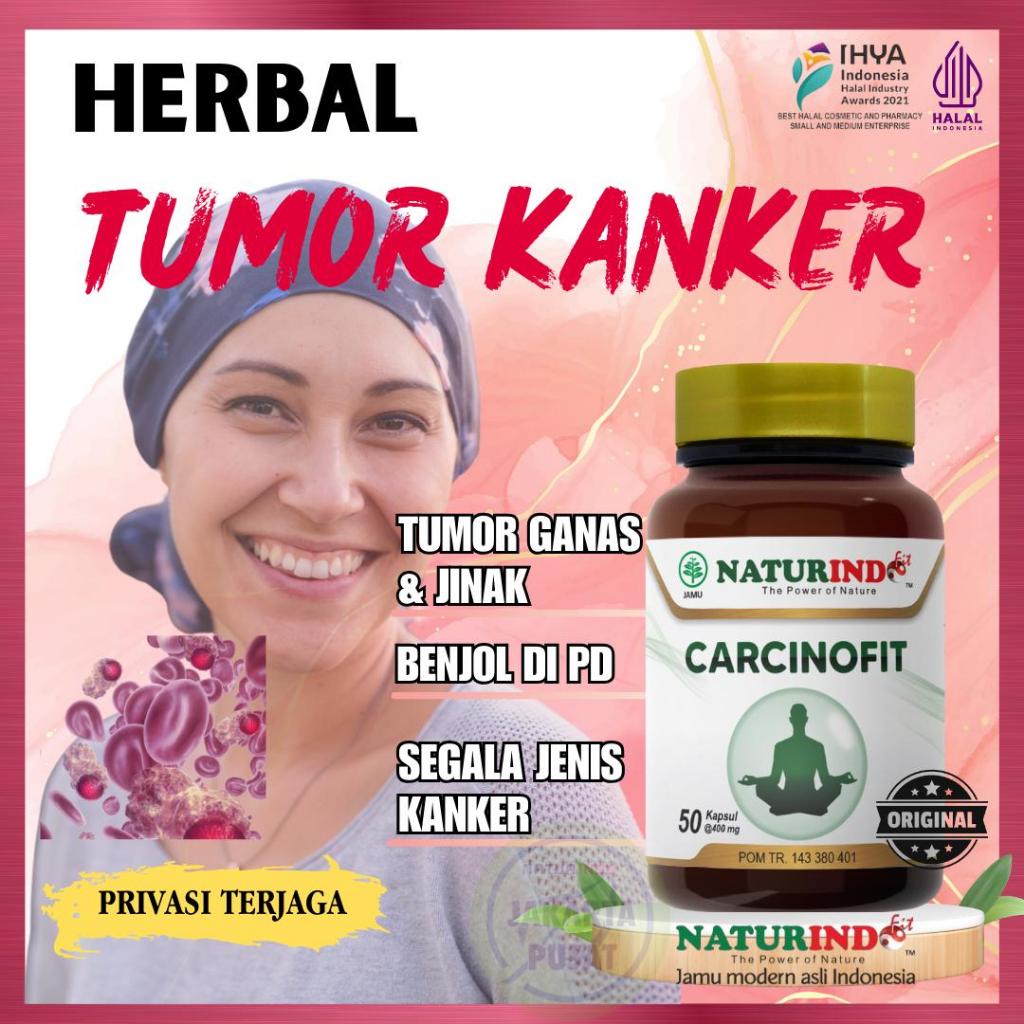 Jual Naturindo Carcinofit Kanker Ganas Tumor Jinak Kangker Kankr Otak ...