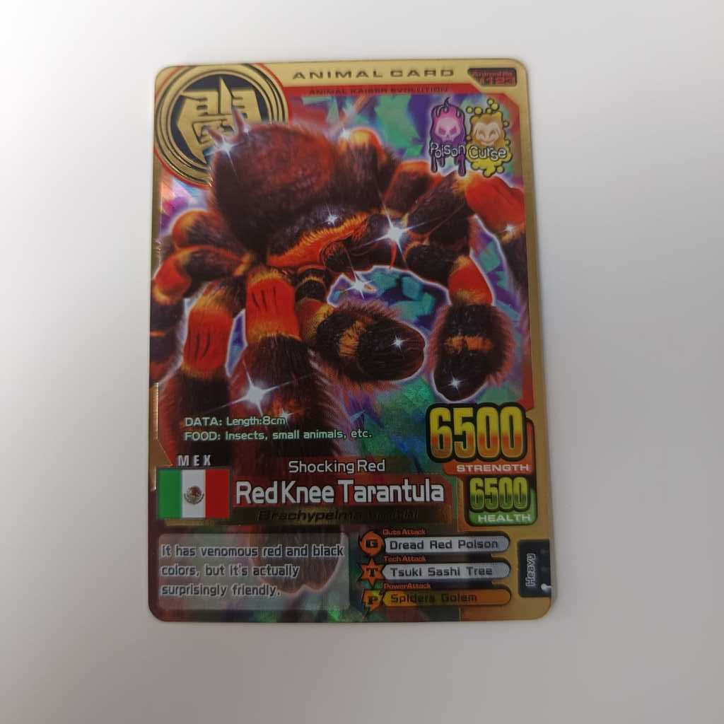 Jual Kartu Animal Kaiser Gold Rare RED KNEE TARANTULA Evo 3 ORIGINAL | Shopee Indonesia
