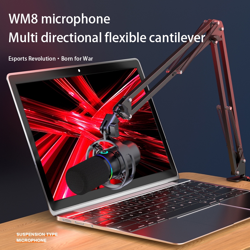 Jual Vegue-Microphone Boom Arm Stand With Professional Desktop PC ...