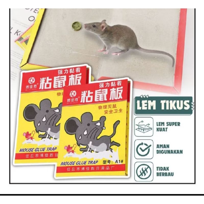 Jual Lem Tikus Papan Jebakan tikus/papan kertas perangkap tikus ...