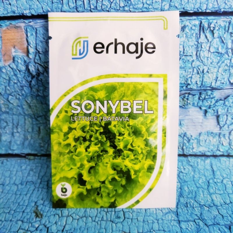Jual Benih Bibit Selada SONYBEL 1 Gram Bejo Seed Batavia Lettuce ...