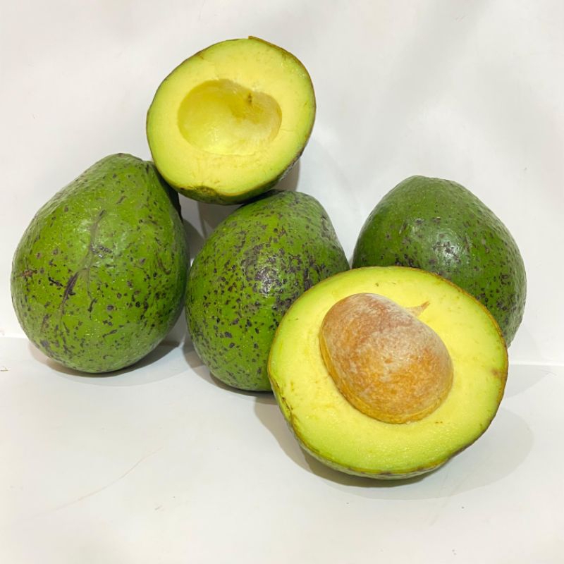 Jual Alpukat mentega besar 1kg/kondisi belum mateng | Shopee Indonesia