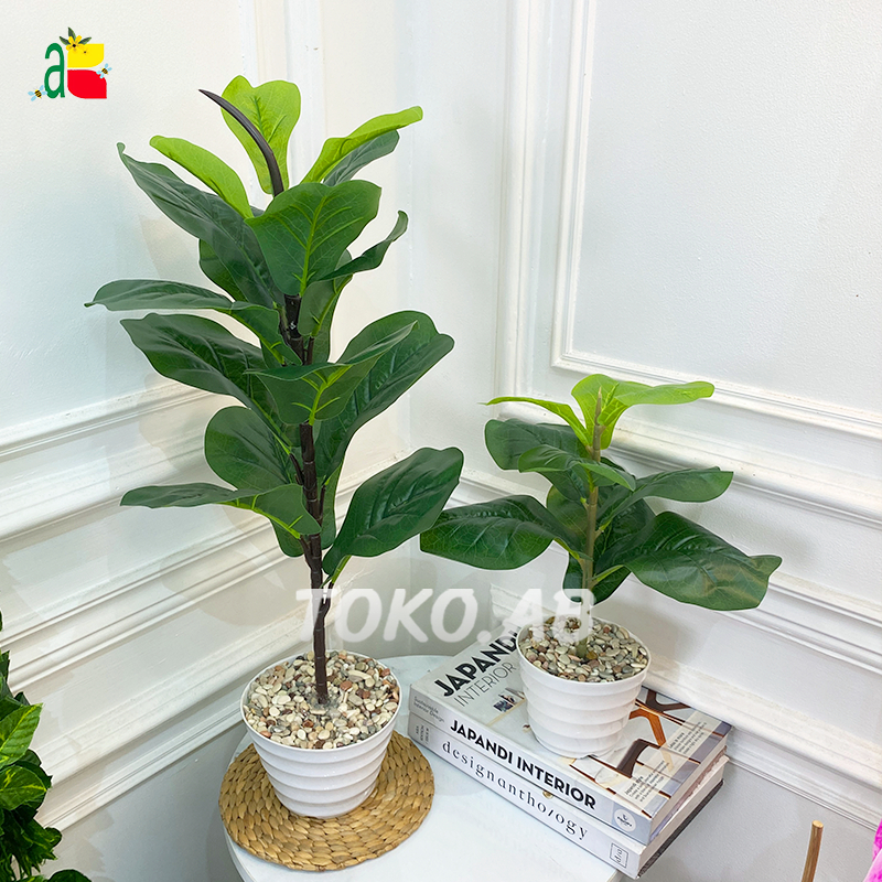 Jual TANAMAN PLASTIK DAUN KETAPANG MINI B8211 D9 DAN D15 BUNGA ...