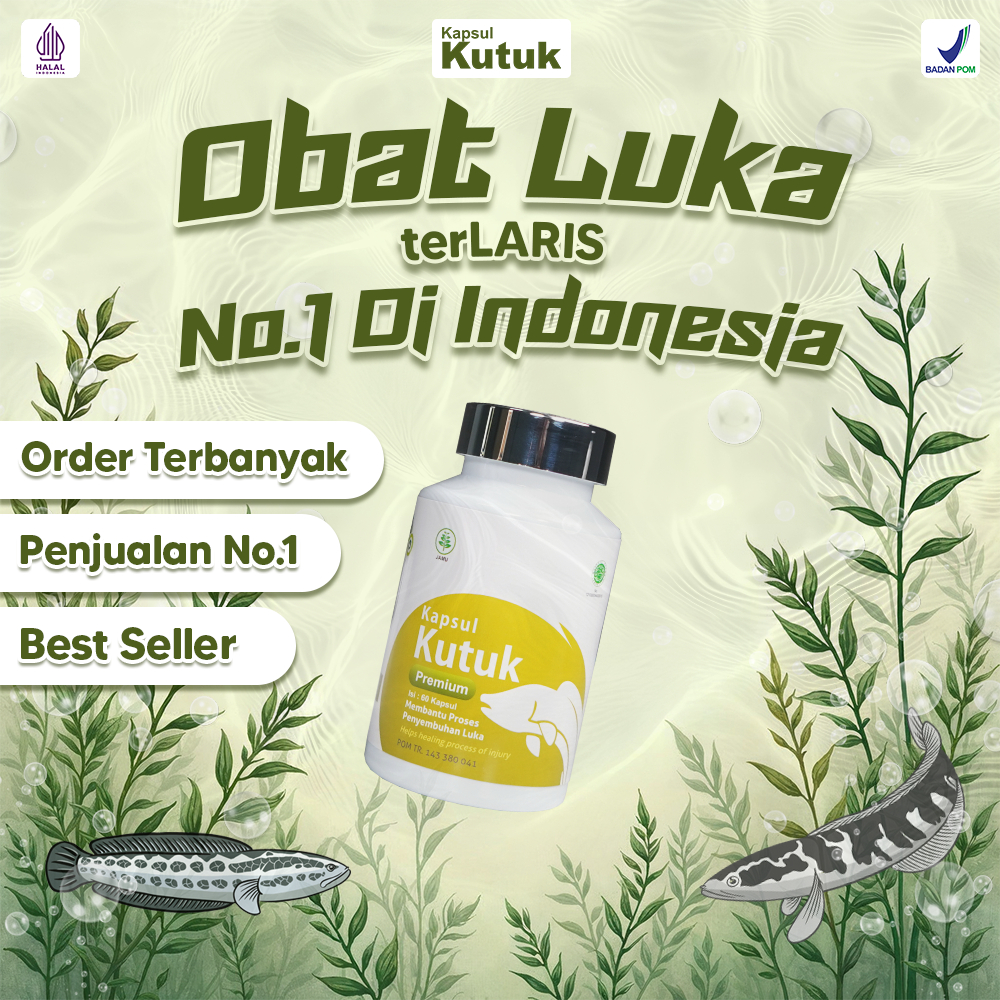 Jual Kapsul Kutuk Premium Albumin Terlaris - Pengering Penyembuhan Luka ...