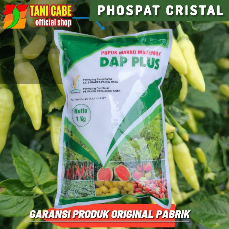 Jual PUPUK PHOSPAT DAP PLUS PUPUK MAKRO MAJEMUK -1KG | Shopee Indonesia