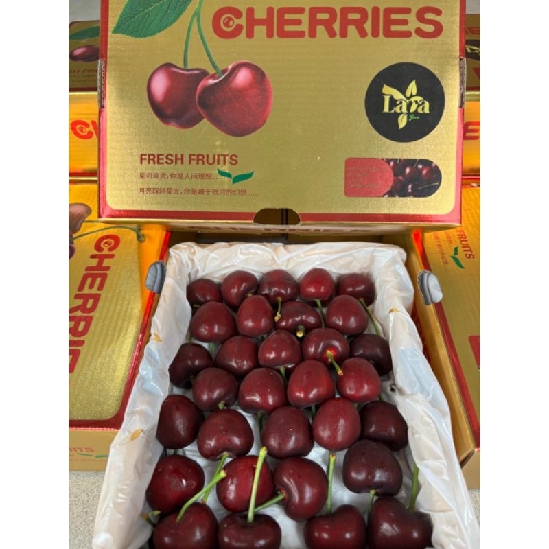 Jual Buah Cherry Fresh Import kemasan ecer/repack. | Shopee Indonesia