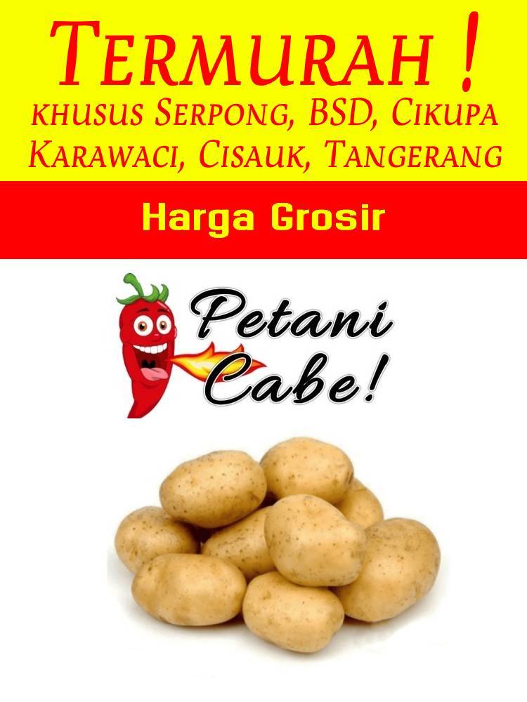 Jual Kentang Ukuran Besar 1 kg Harga Grosir (Petani Cabe Serpong ...