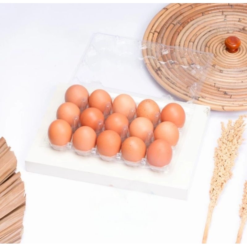 Jual MIKA TELUR AYAM 15 LUBANG SUDAH ADA PENGUNCI 25 PCS - 0.30 MM ...