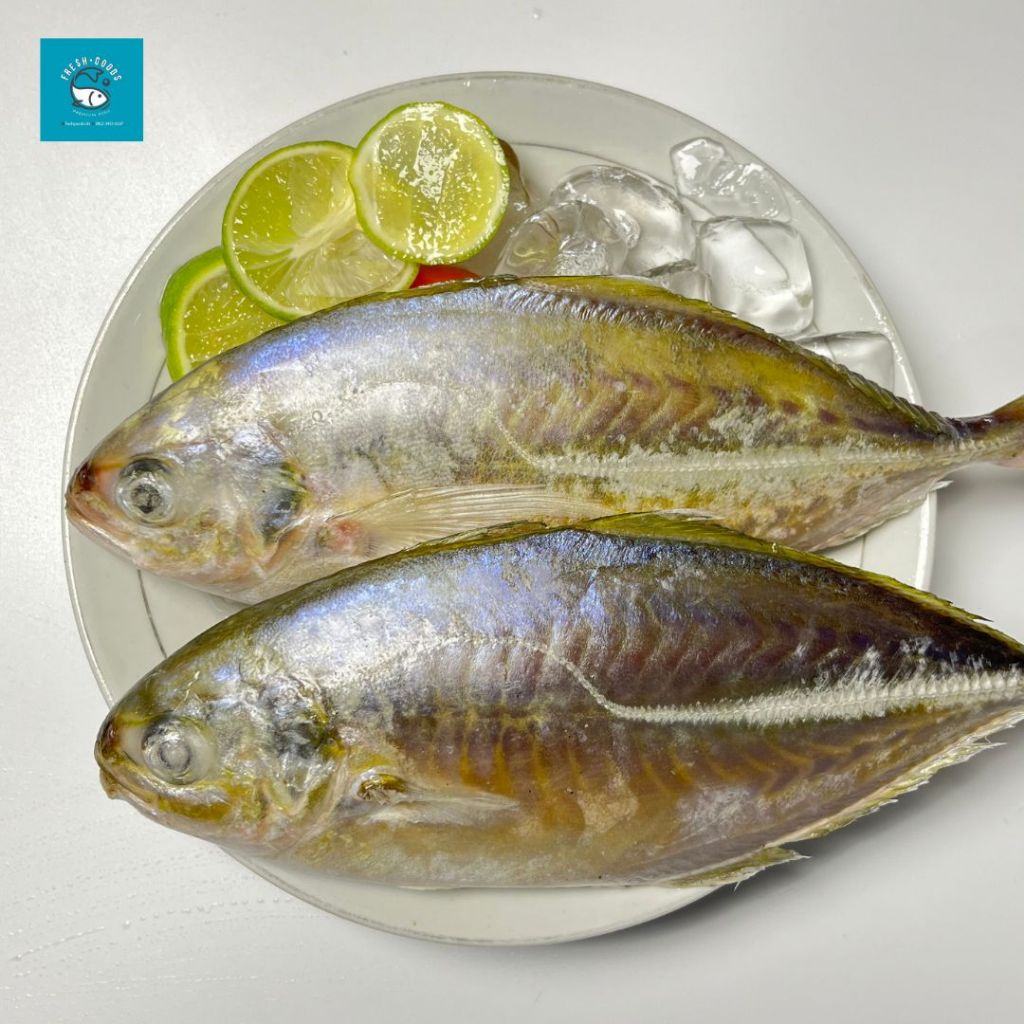 Jual Ikan Selar Kuning / Ikan Selar Como / Kembung Como DIJAMIN SEGAR ...