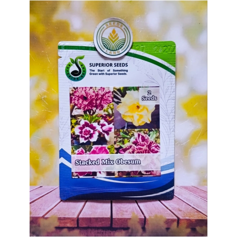Jual BIJI BENIH BUNGA ADENIUM KEMASAN ORIGINAL. S | Shopee Indonesia