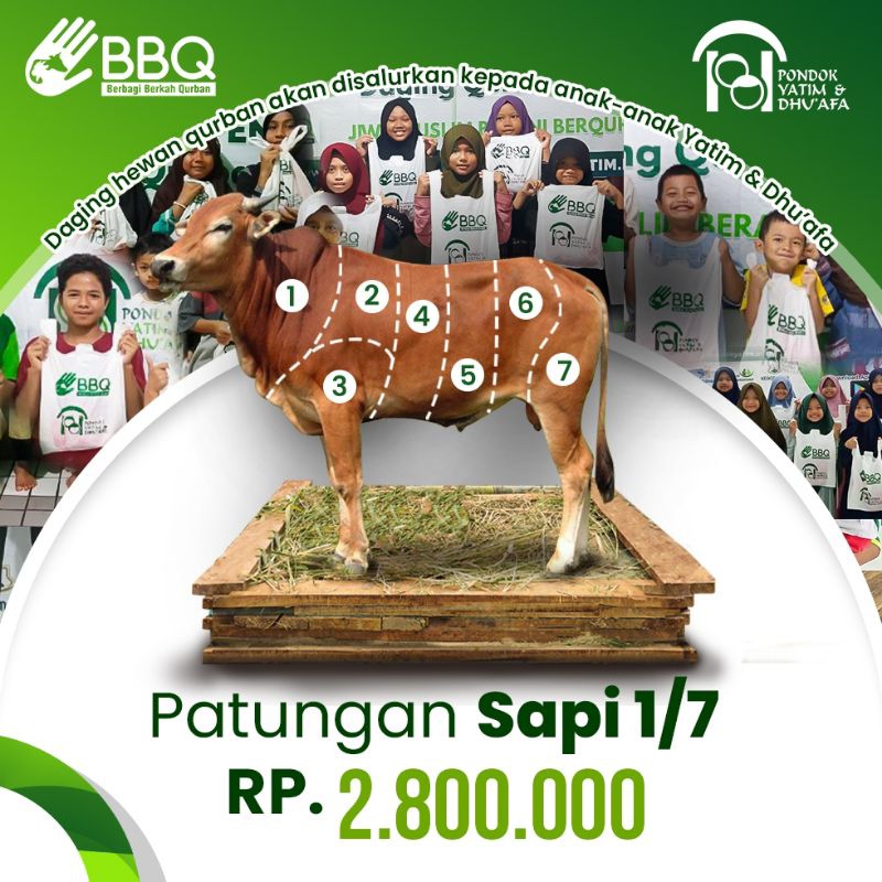 Jual Qurban Patungan Sapi 1/7 Pondok Yatim & Dhu'afa | Shopee Indonesia
