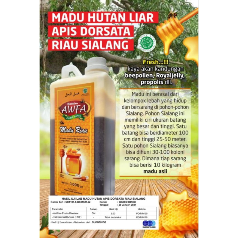 Jual MADU HUTAN MURNI 100% [MADU HUTAN ASLI ORIGINAL 100%]MADU HUTAN ...