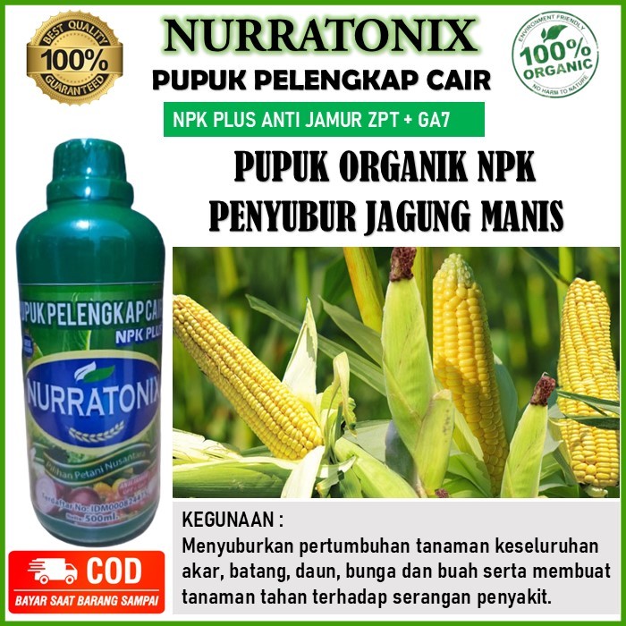 Jual Pupuk Ajaib PERBANYAK JAGUNG ANTI JAMUR - NURRATONIX NPK PLUS Panen JAGUNG Lebih Banyak dan ...