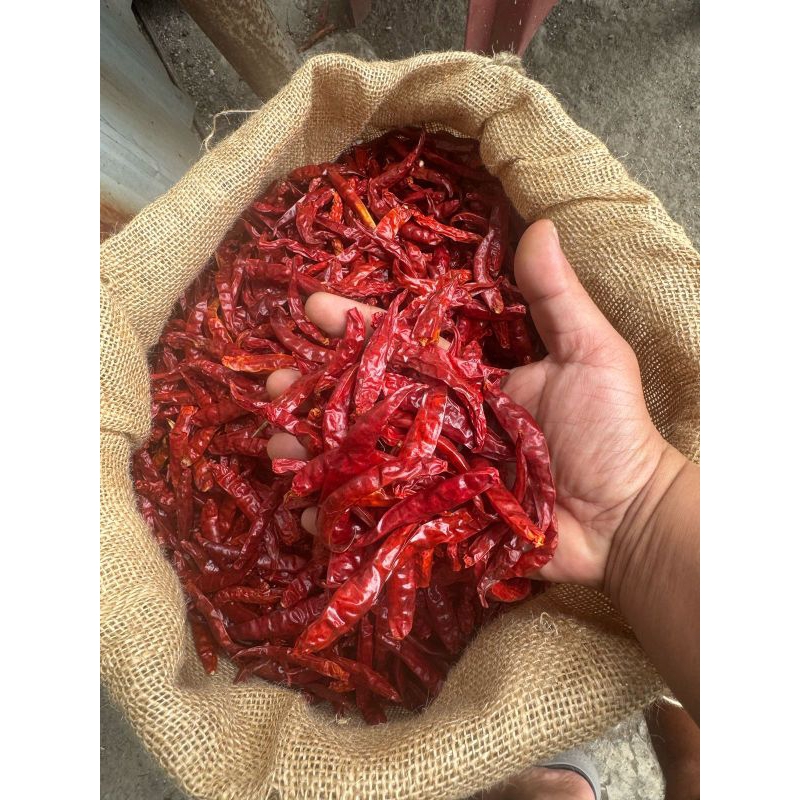 Jual Cabe Rawit/Cengek Kering Teja Extra Pedas dijamin Fresh bersih ...