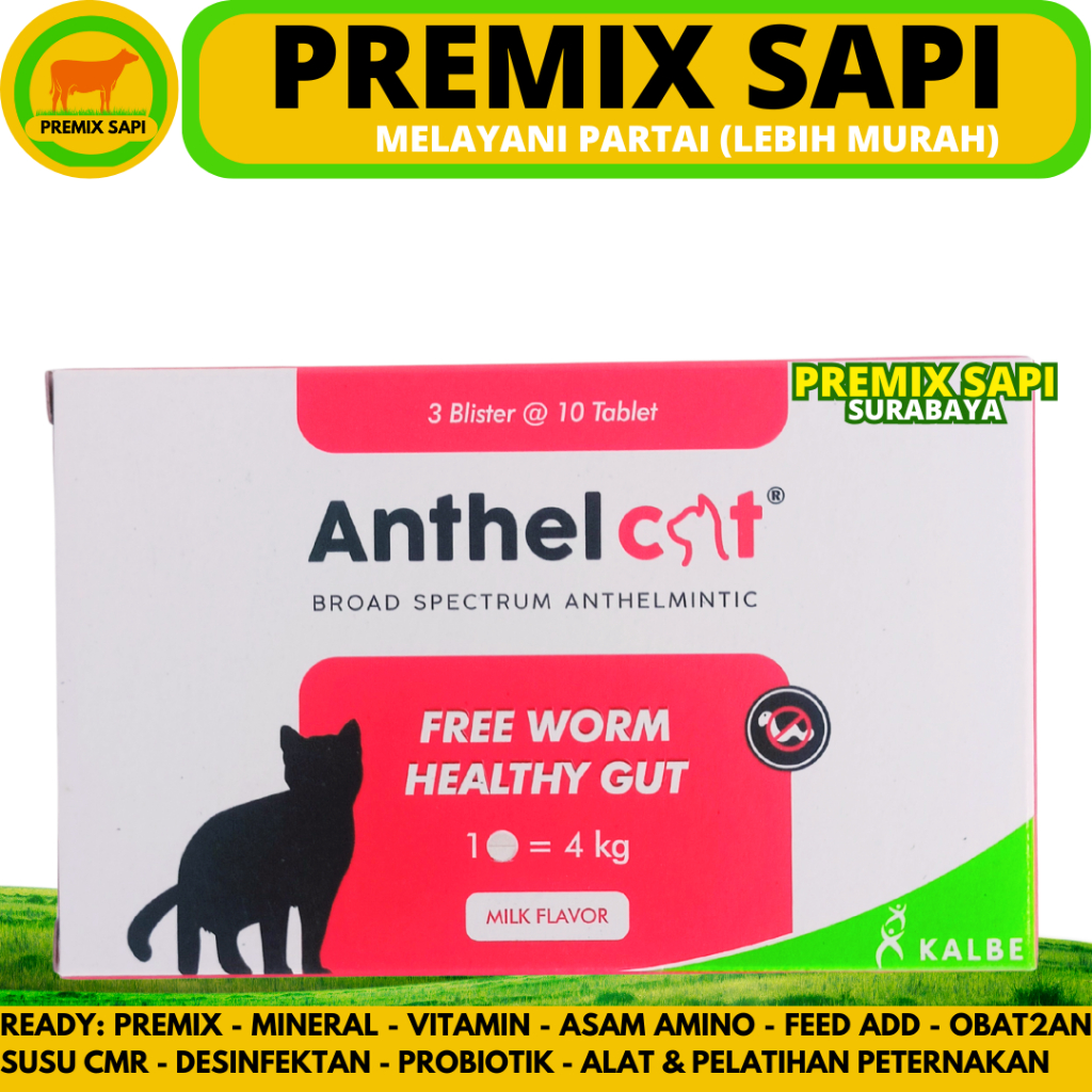 Jual ANTHEL CAT 1 TABLET (KEMASAN BLISTER) - Obat Cacing Kucing Ampuh ...