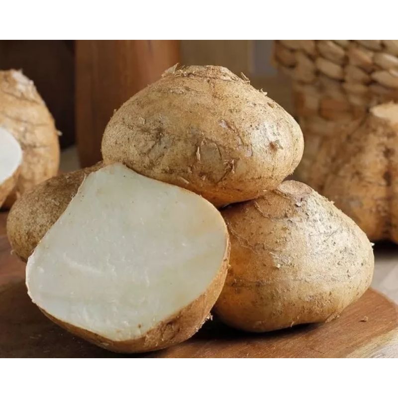 Jual Bengkoang segar 1 kg | Shopee Indonesia