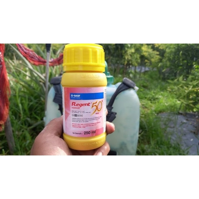 Jual Insektisida Regent Red 50sc 250ml | Shopee Indonesia