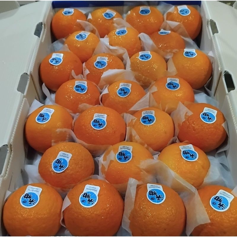 Jual Indukbuah Buah Jeruk Wokam Wogan Manis Seger 1 Keranjang/Dus ...