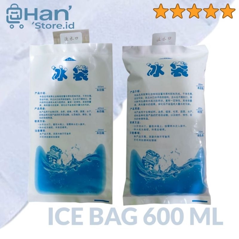 Jual ICE GELL PACK 600 ML / KANTONG ES PENDINGIN 600 ML | Shopee Indonesia