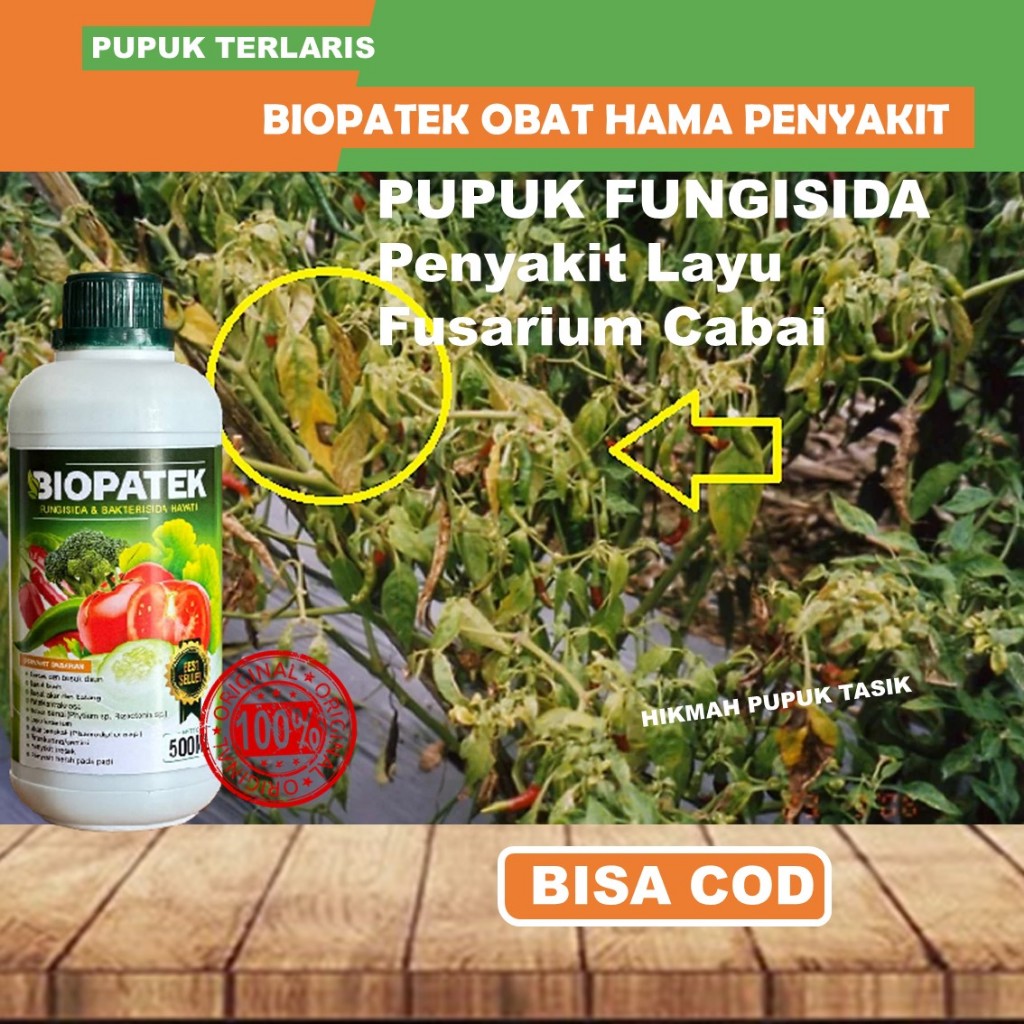 Jual ORIGINAL PUPUK BIOPATEK 500 ML Fungisida Mengobati Penyakit Layu Fusarium Cabai Paling ...