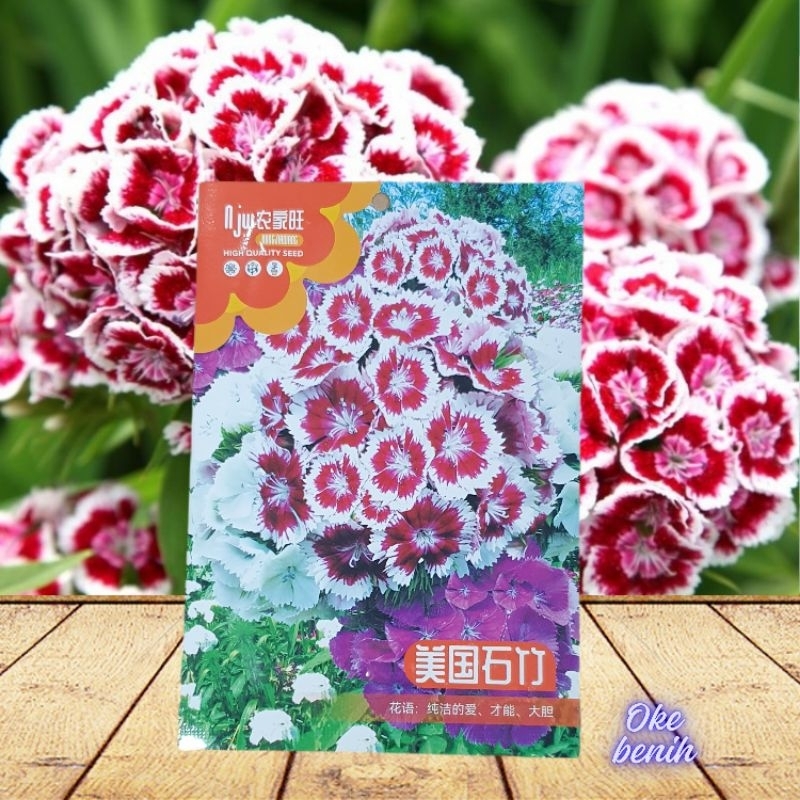 Jual KEMASAN ORIGINAL 400 BUTIR BUNGA SWEET WILLIAM DIANTHUS IMPORT ...