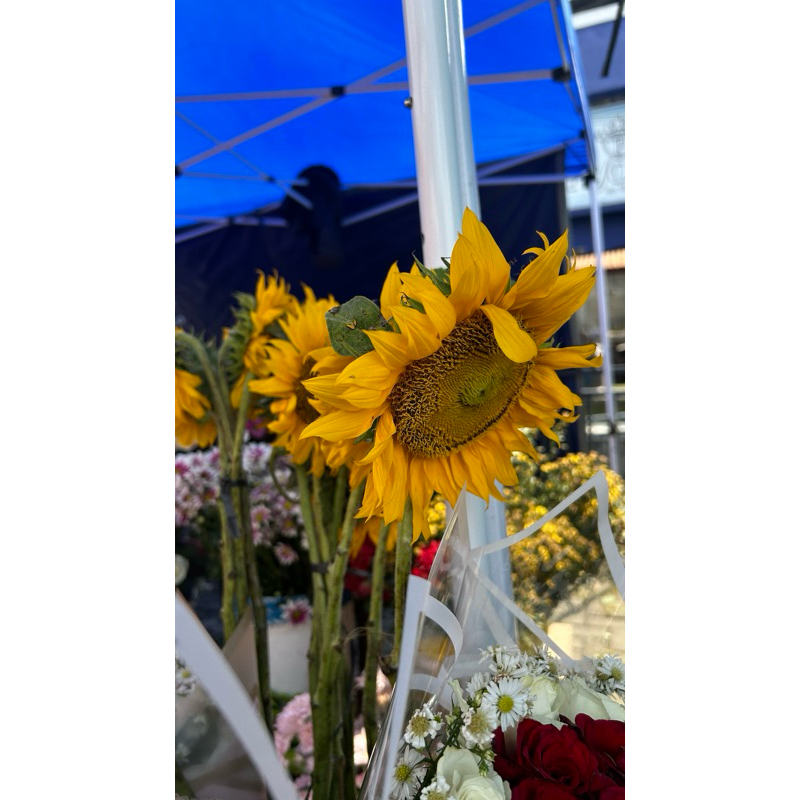 Jual Bunga replika mini (ninja only) | Shopee Indonesia