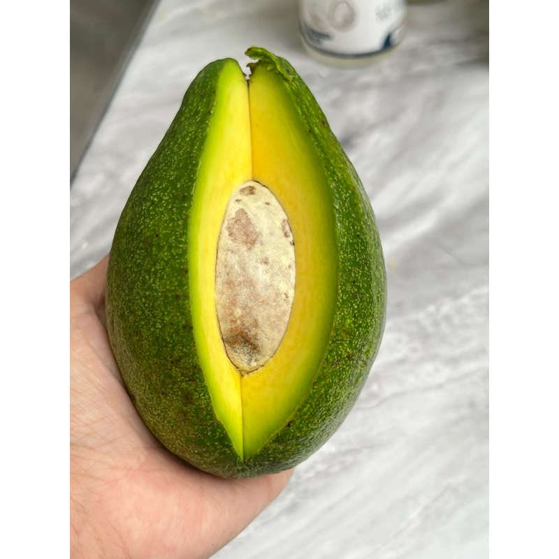 Jual Alpukat mentega super 1kg | Shopee Indonesia