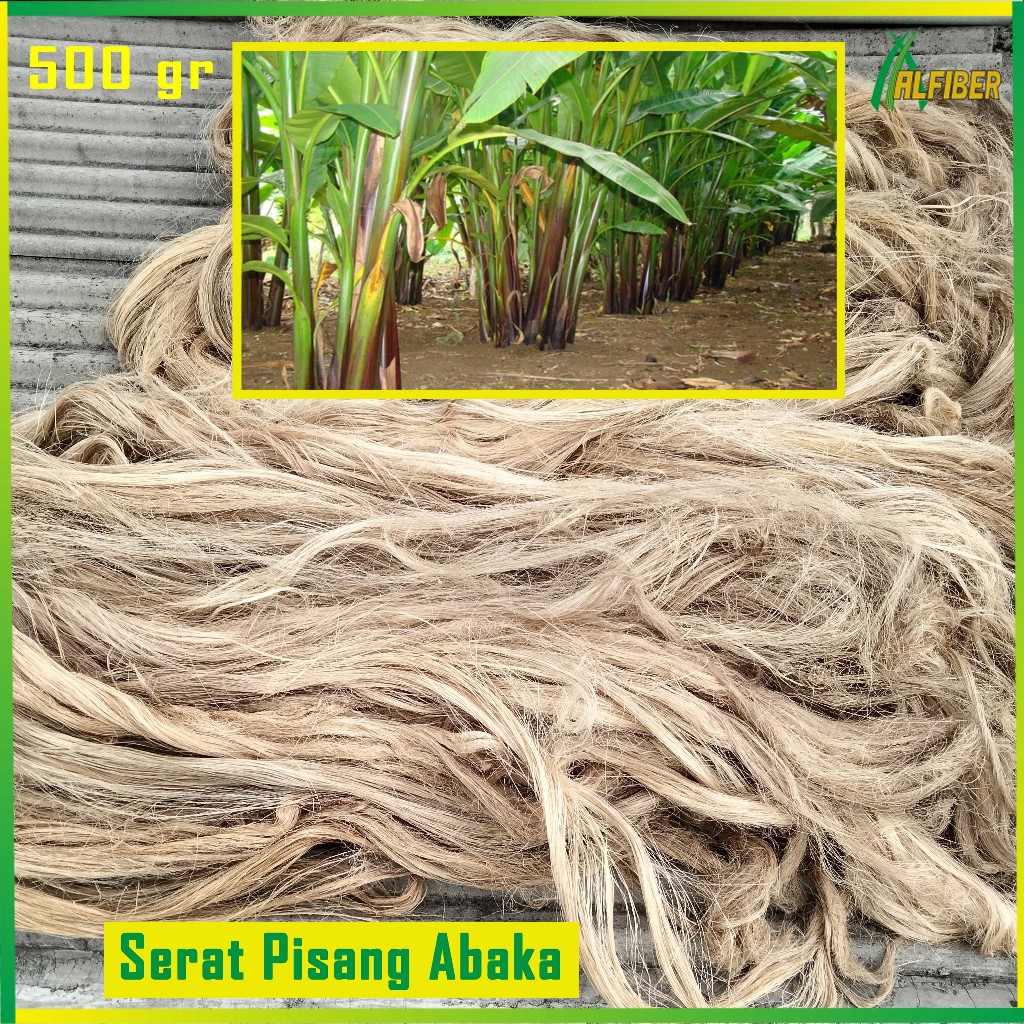 Jual Serat Pisang ABAKA Serat Batang Pisang Jenis Abaca Natural Fibre ...