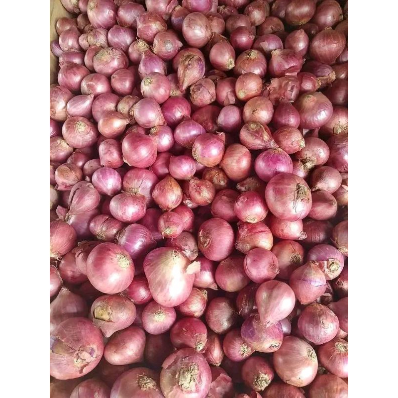 Jual BAWANG MERAH KERING SUPAER CROSS 1 kg | Shopee Indonesia