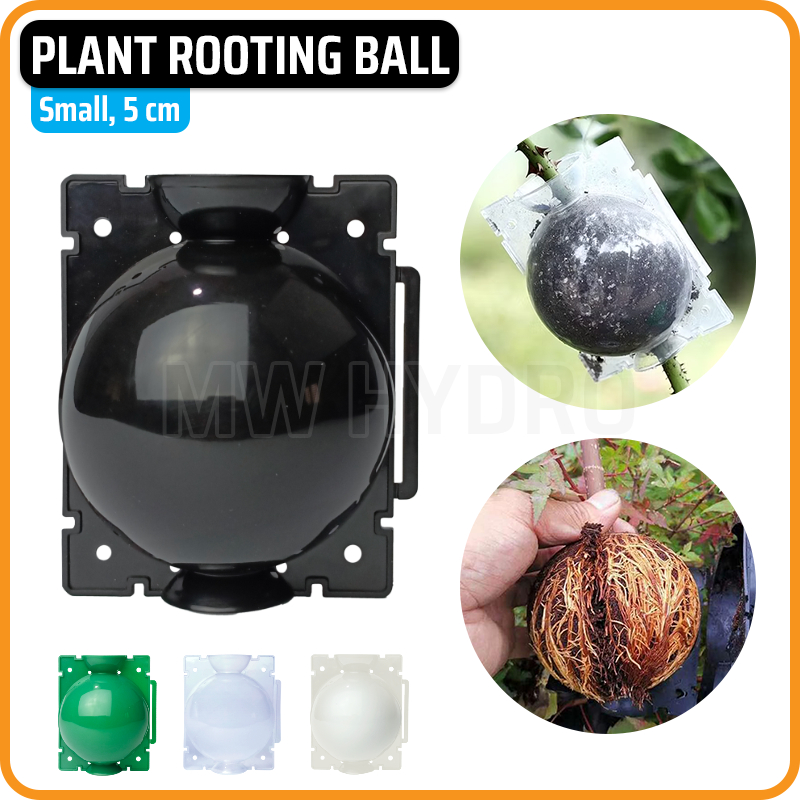 Jual Plant Rooting Ball / Air Layering Propagation Box, Size S 5 cm ...