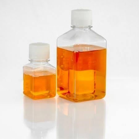 Jual Sheep plasma/serum, sterile-filtered - plasma/serum domba steril ...