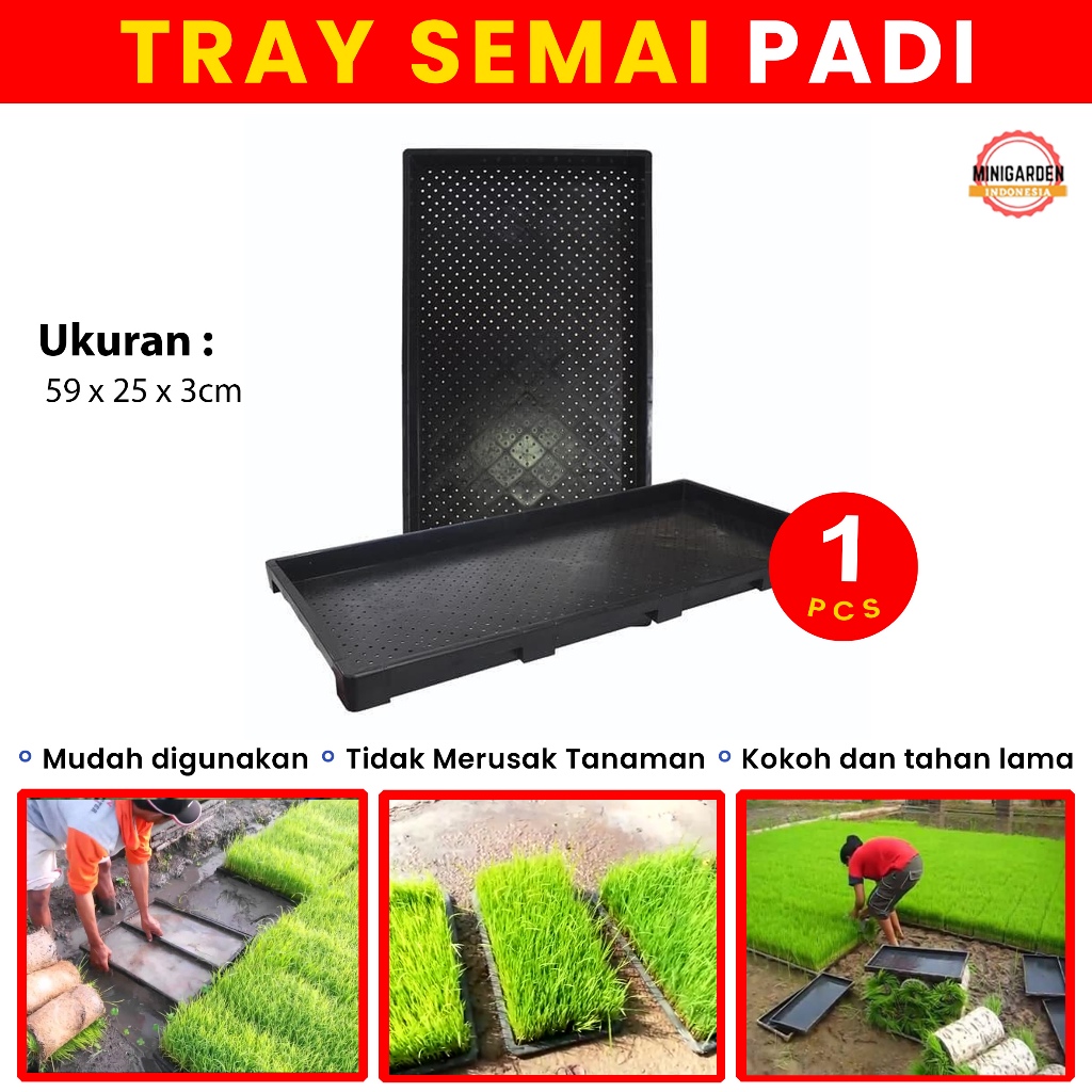 Jual TRAY SEMAI PADI tray semai microgreen rice seedling tray paddy pot ...