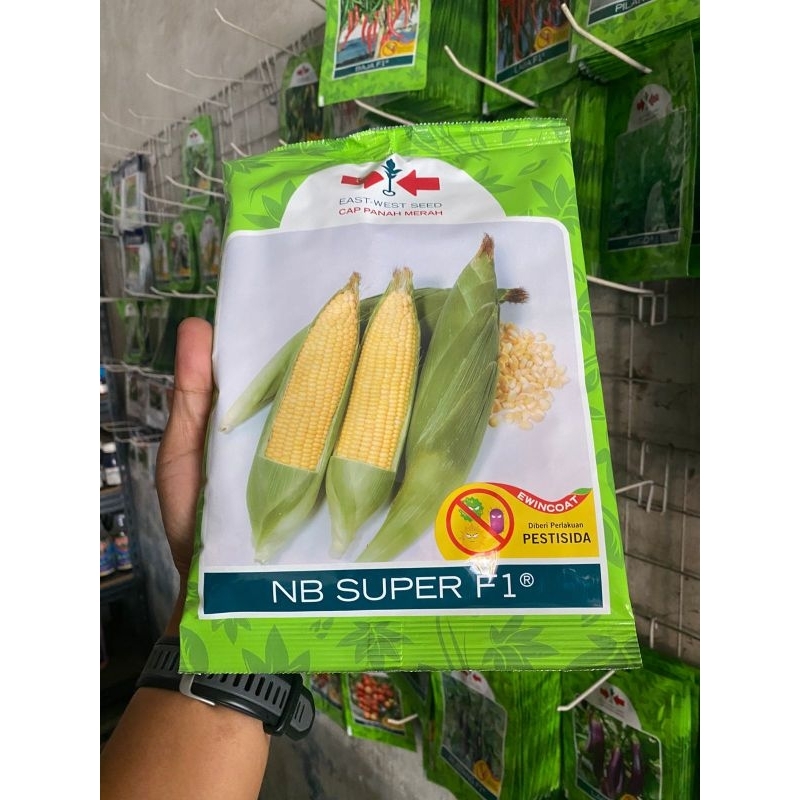 Jual Promo Benih Jagung Manis NB SUPER F1 1800bj (NEW BONANZA) | Shopee ...