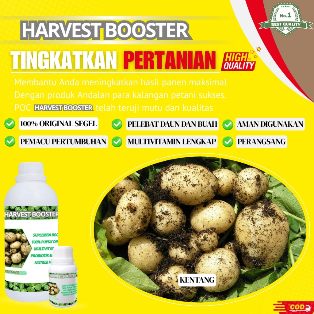 Jual PUPUK ORGANIK CAIR 100% untuk tanaman KENTANG Pemacu Pertumbuhan ...
