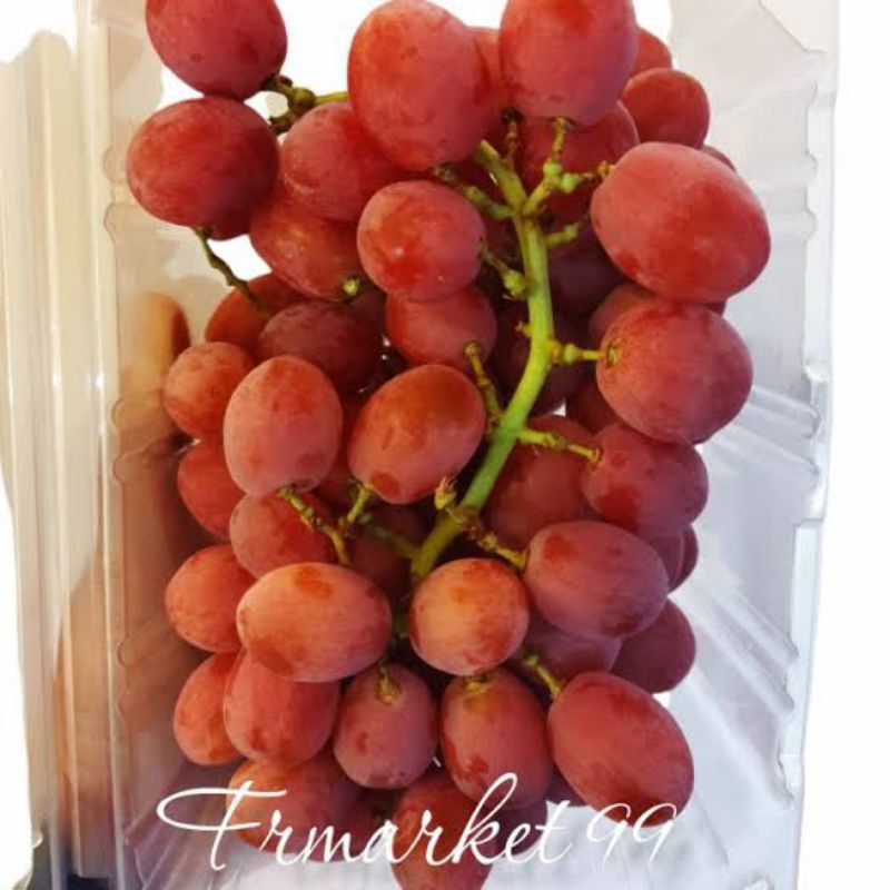 Jual ANGGUR RED GLOBE PREMIUM ( 1KG dapat 2 PACK ) FRESH MANIS BESAR ...