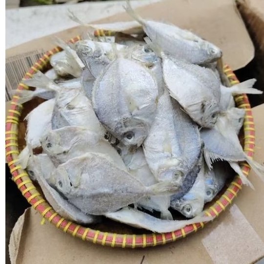 Jual ikan pirik jumbo / ikan dodok kering | Shopee Indonesia