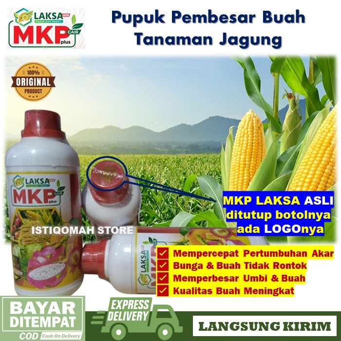 Jual Pupuk Pembesar Buah Jagung Terbaik MKP LAKSA 500ML Pupuk Penyebur Daun dan Buah Jagung ...