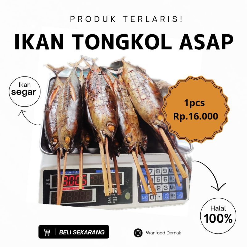 Jual IKAN TONGKOL ASAP BESAR 1PCS FRESH PACKING PLASTIK FAKUM | Shopee ...