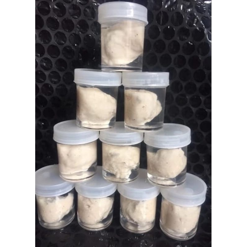 Jual PULUT BURUNG 20 JEBAKAN BURUNG LEM BURUNG GETAH BENDO GETAH KARET ...