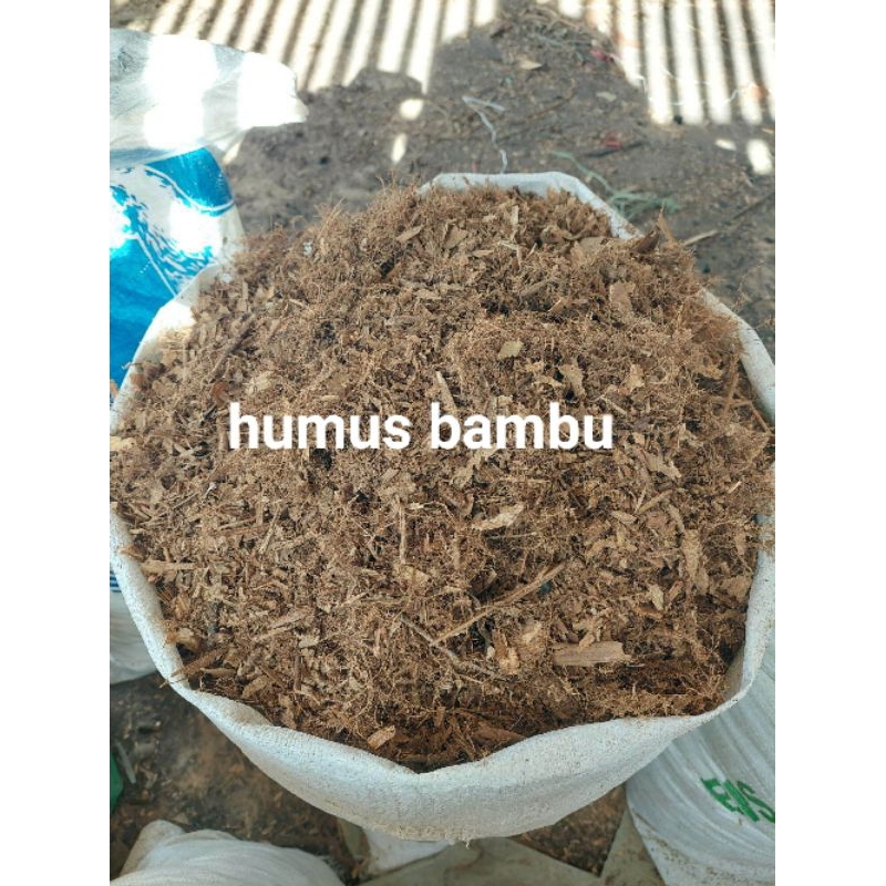 Jual Humus Bambu Kemasan Karung Ukur 10 kg untuk Media Tanam | Shopee ...