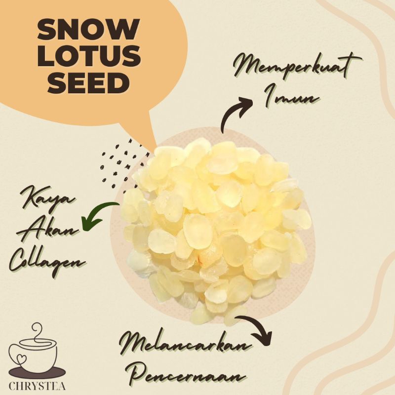 Jual CHRYSTEA || Snow Lotus Seed (Kiloan) | Shopee Indonesia