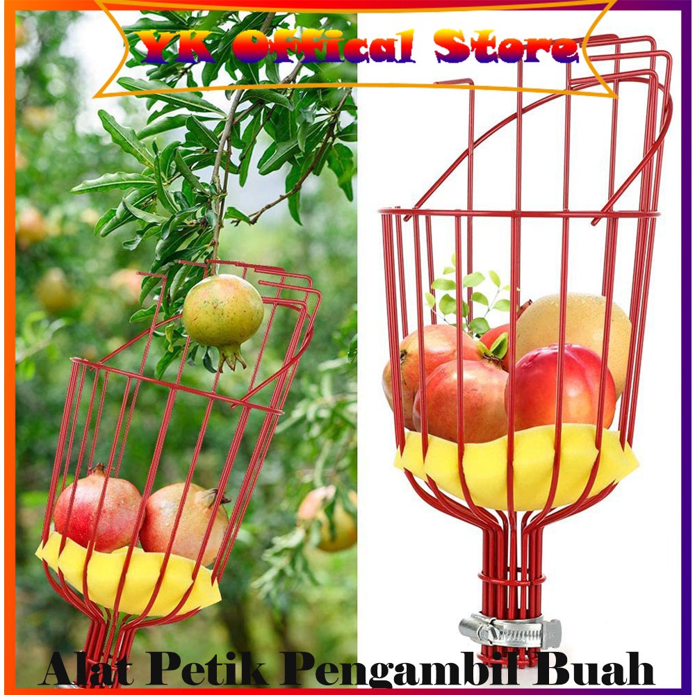 Jual Alat Petik Pengambil Buah Fruit Picker Alat Pemetik Buah Tinggi ...